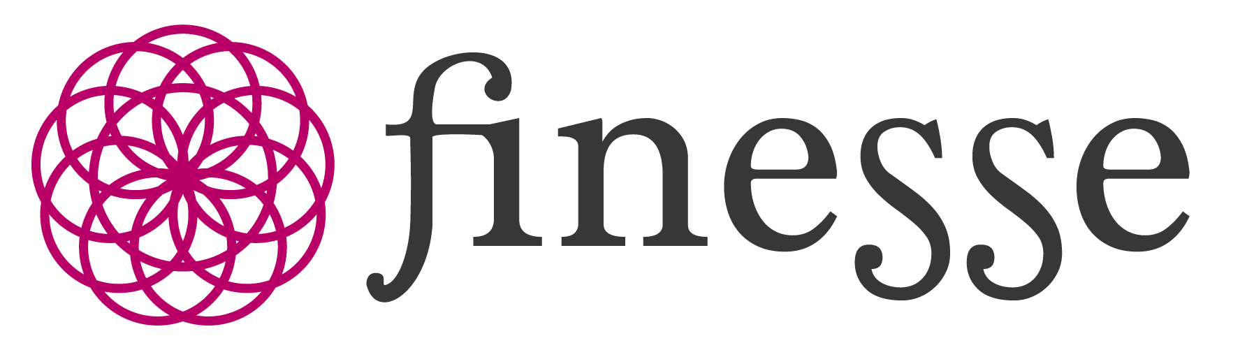 Finesse Dev Studio | Web Developer and Designer